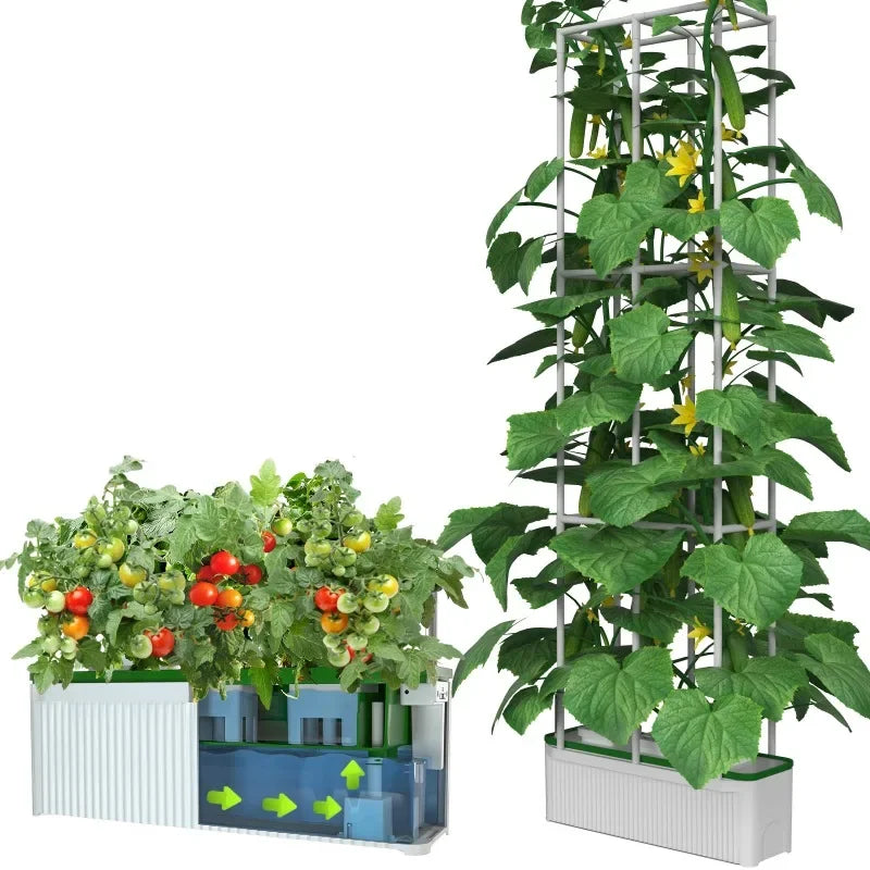 Smart growing systems – DST Fulfillment